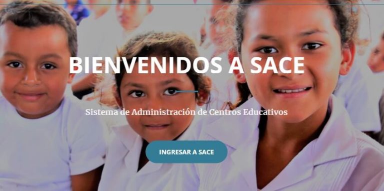 Consultar Estado de Cuenta Sace【Beneficios y Más】